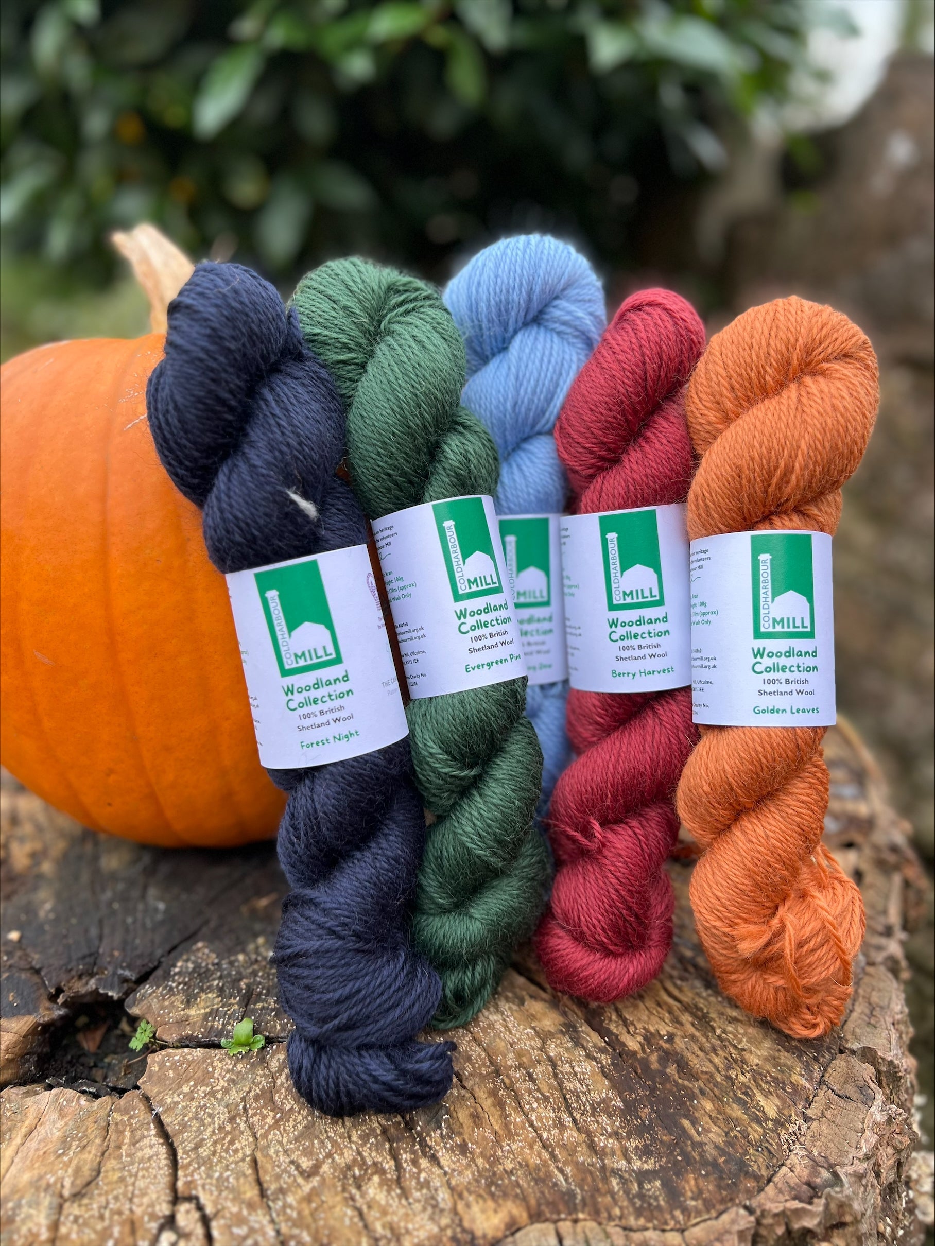 Woodland Collection Autumn – Coldharbour Mill