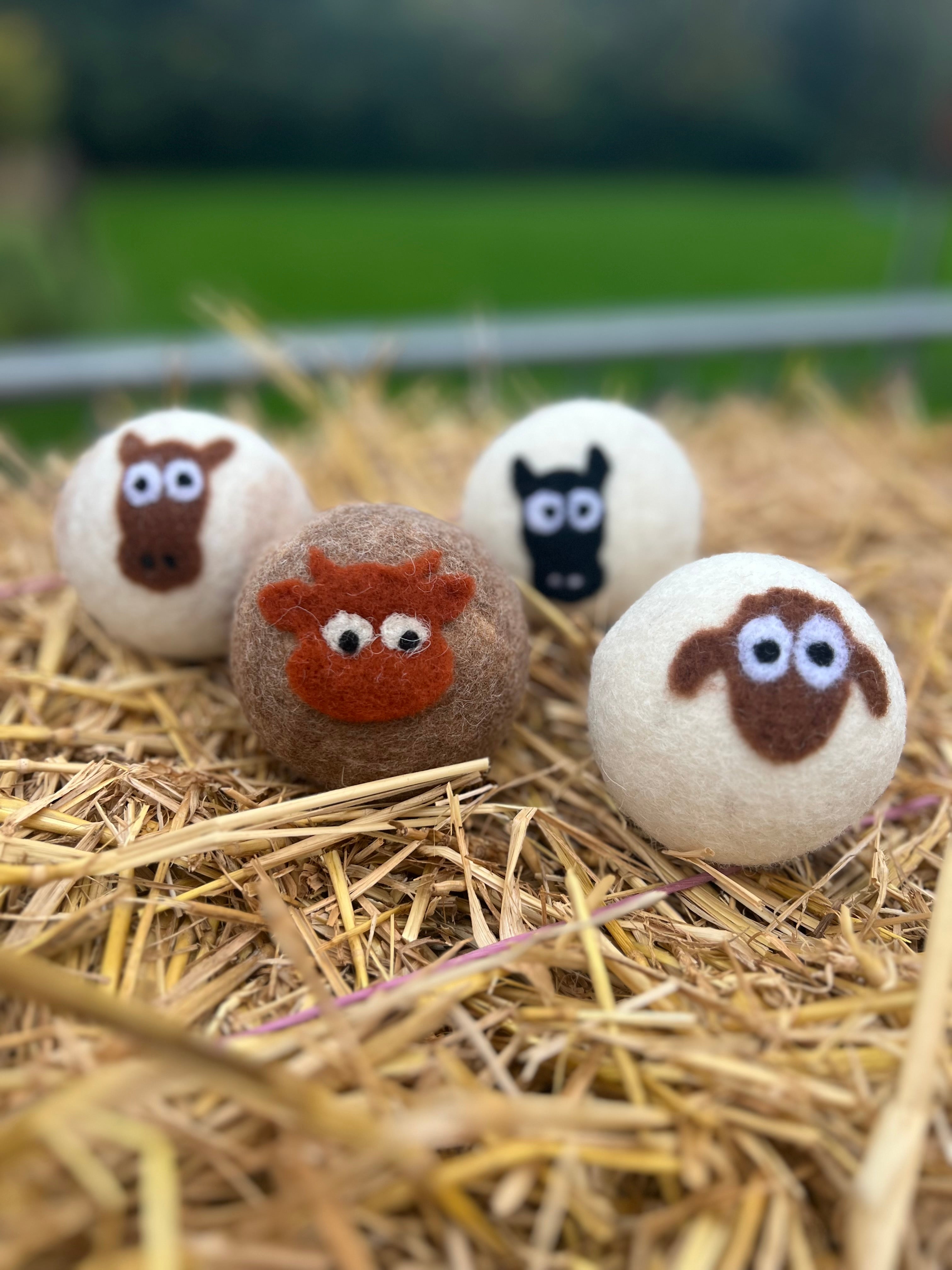 Fully Wooly Dryer Ball Set | Farm Animals – Coldharbour Mill