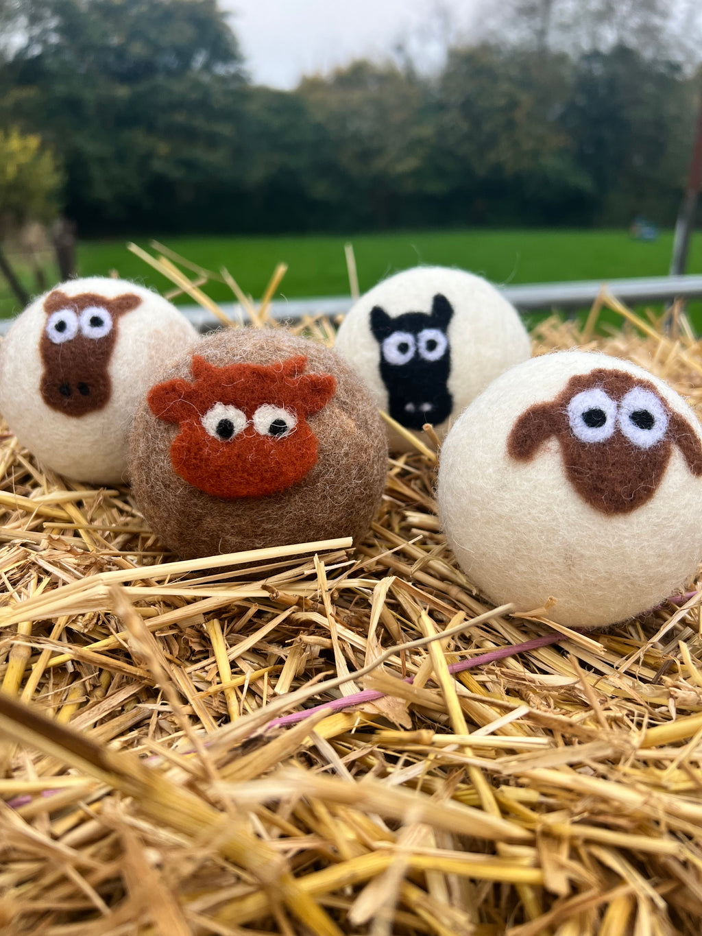 Fully Wooly Dryer Ball Set | Farm Animals – Coldharbour Mill