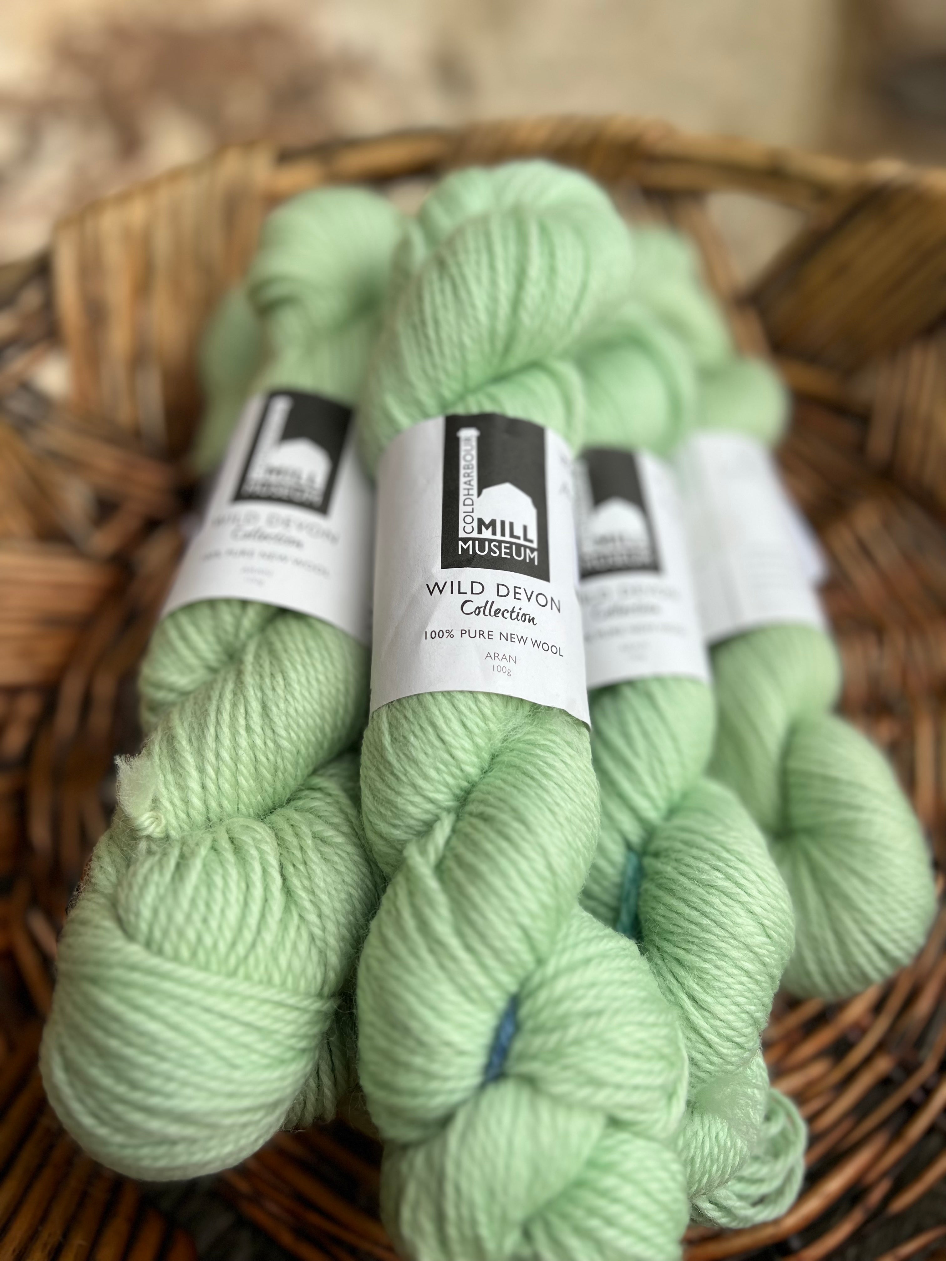 Wild Devon Collection - Aran | Angelica – Coldharbour Mill