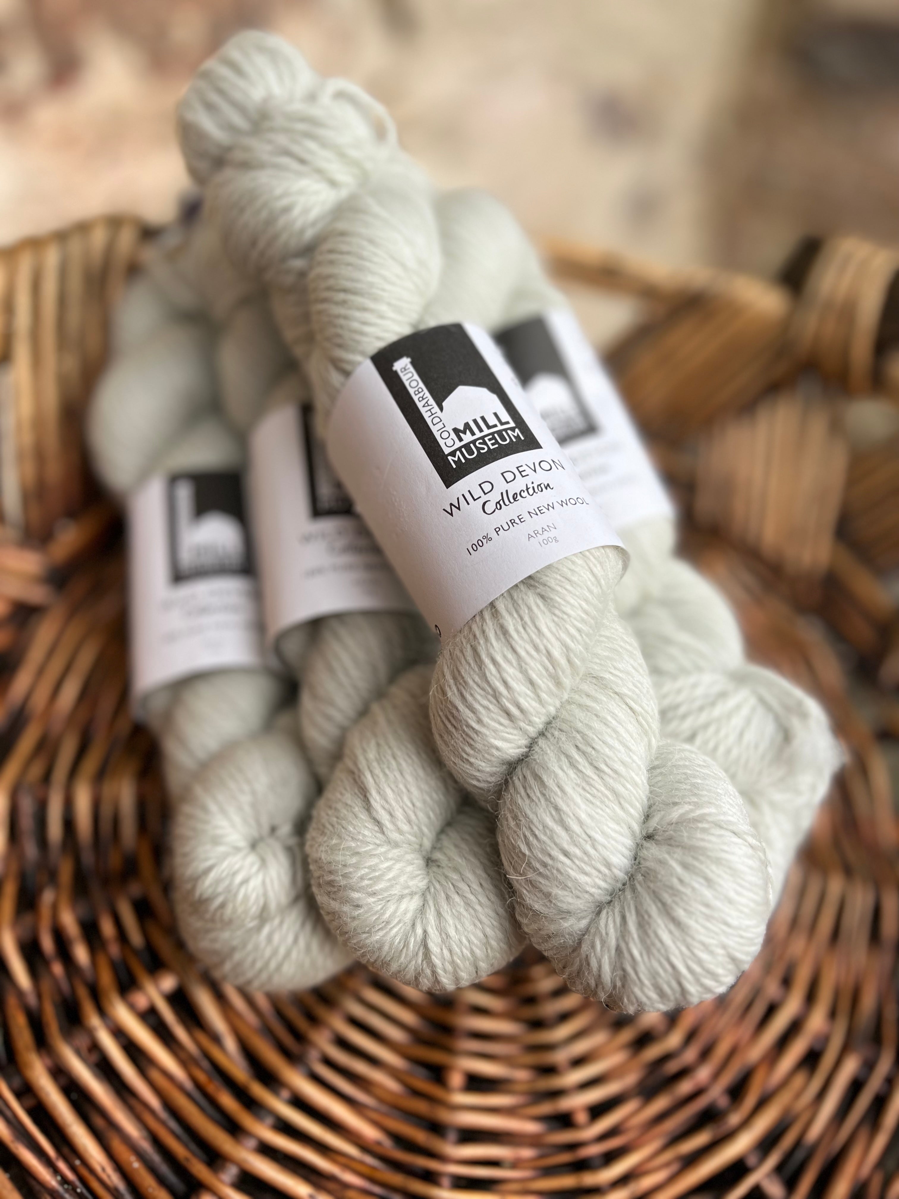 Wild Devon Collection - Aran | Frost – Coldharbour Mill