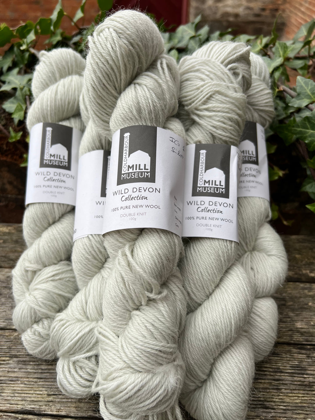 Wild Devon Collection - Double knit | Silver Birch – Coldharbour Mill