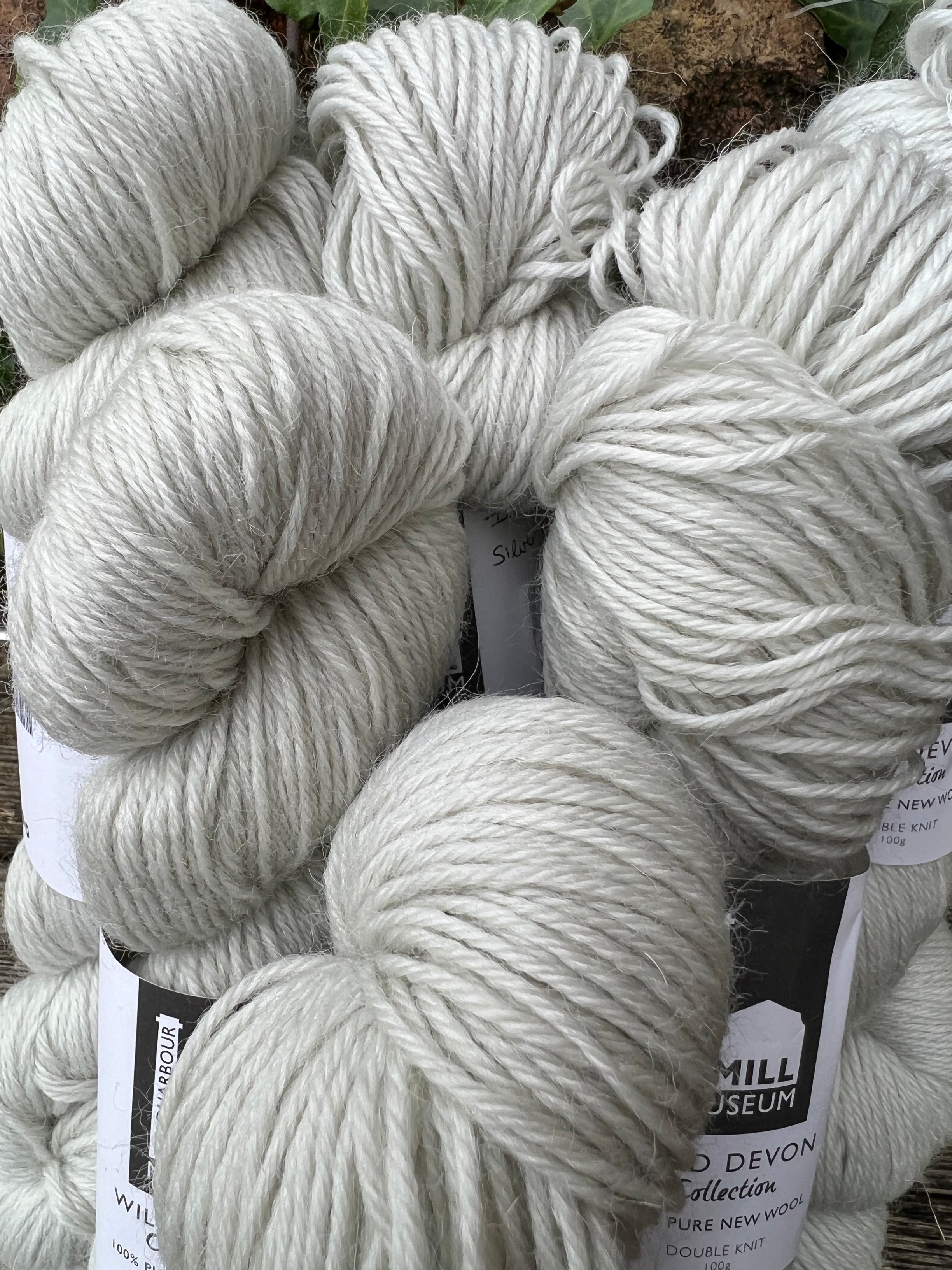 Wild Devon Collection - Double knit | Silver Birch – Coldharbour Mill