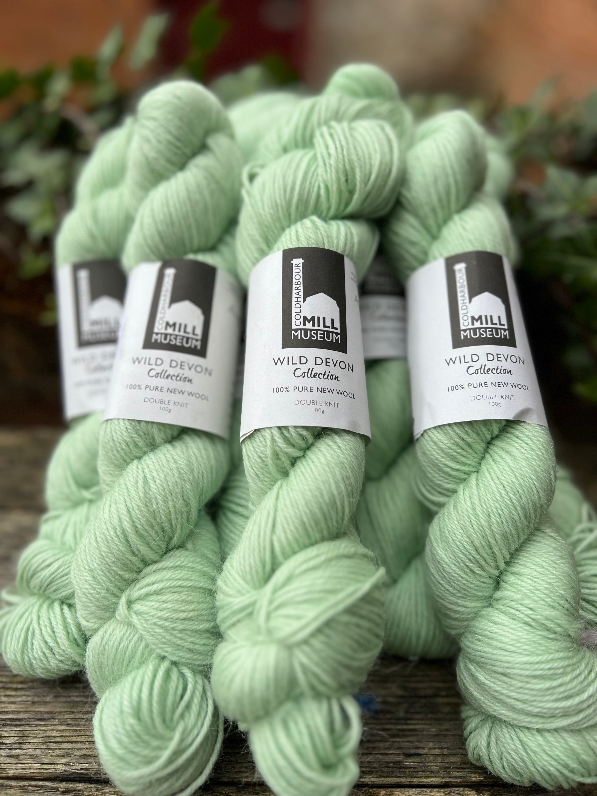 Wild Devon Collection - Double Knit | Angelica – Coldharbour Mill