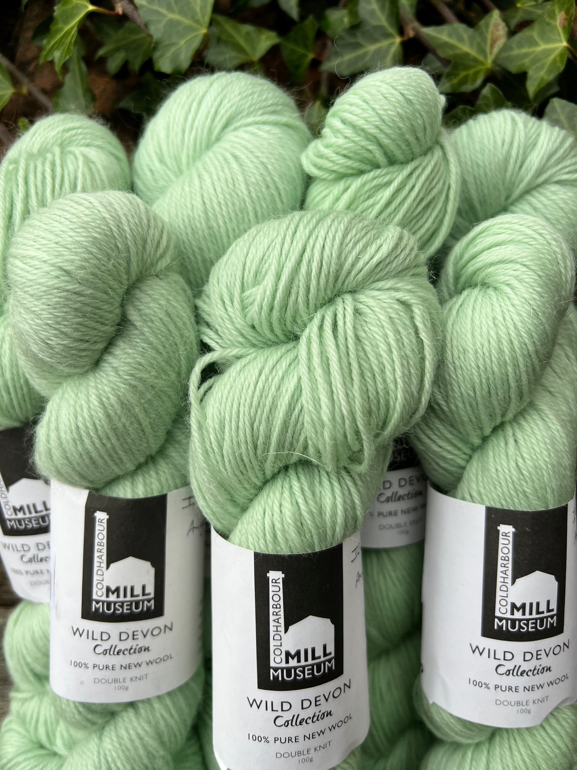 DK Yarn - Angelica – Coldharbour Mill