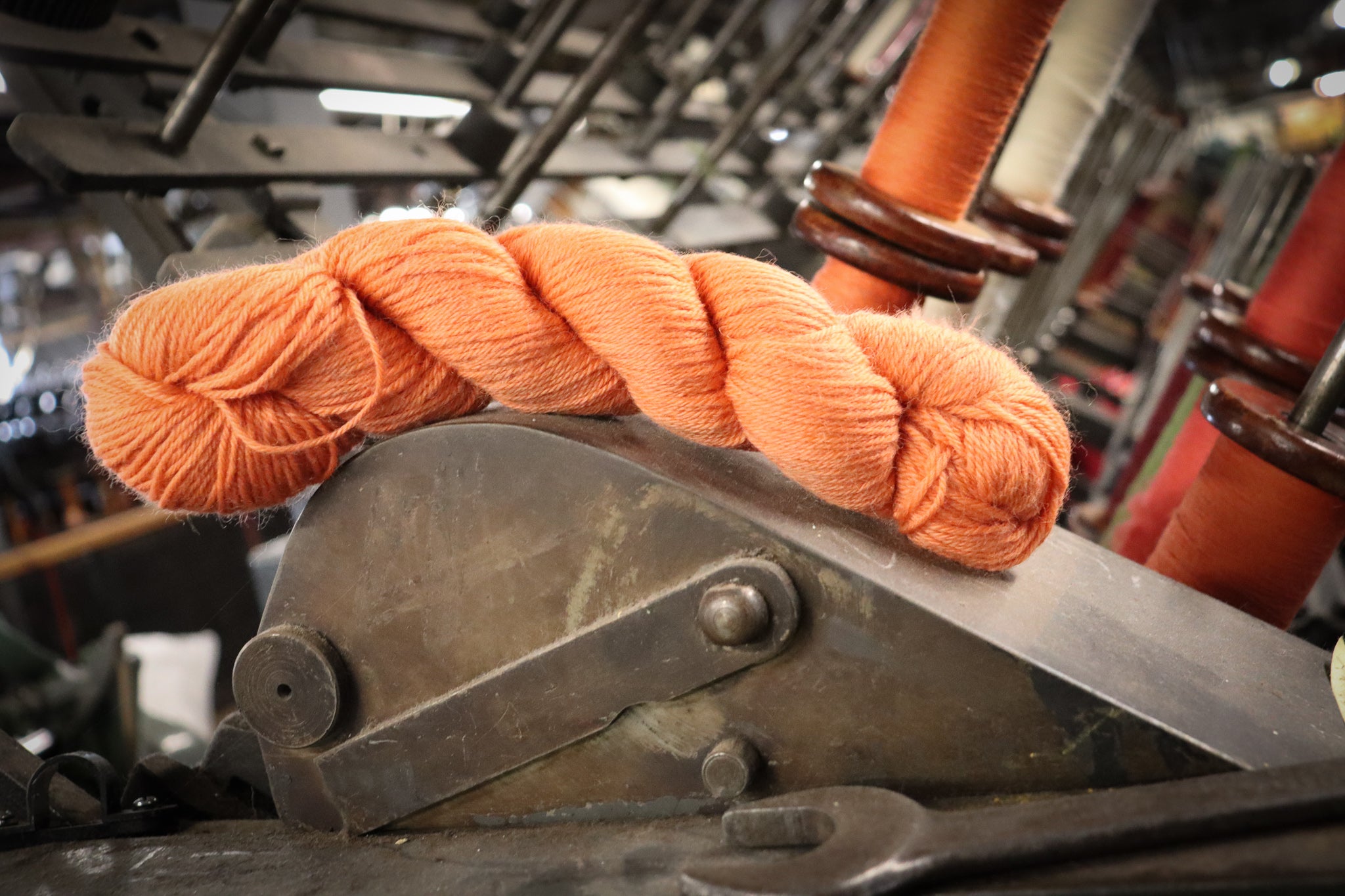 Wild Devon Collection - Double Knit | Brimstone – Coldharbour Mill